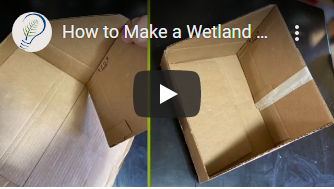 How to Make a Wetland Model – Houston Environmental Resources for Educators